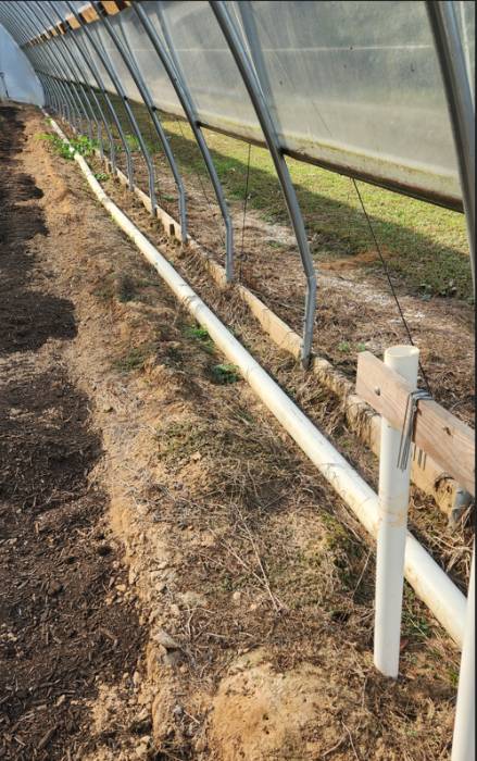 High Tunnel Specialty Crop Production in Arkansas